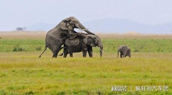 我的世界繁殖村民图标