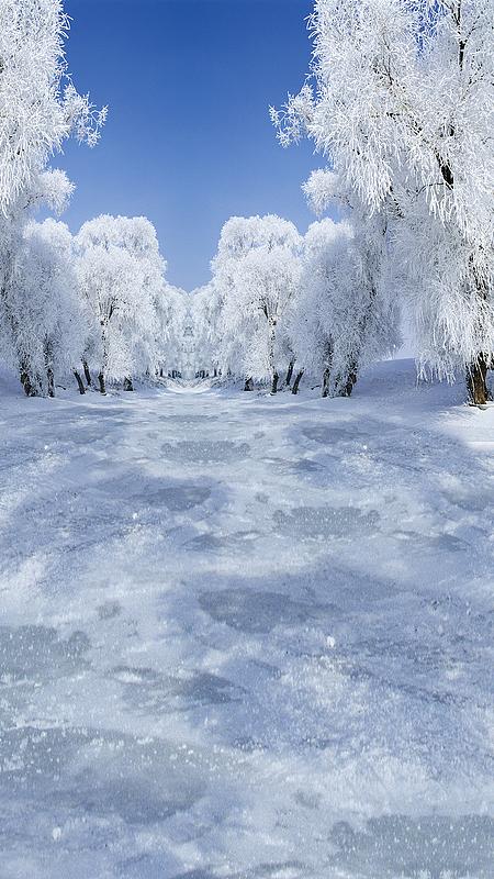 雪景图片大全高清图片图标