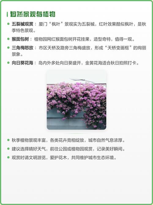 今日海西晨报休闲情报A16版截图