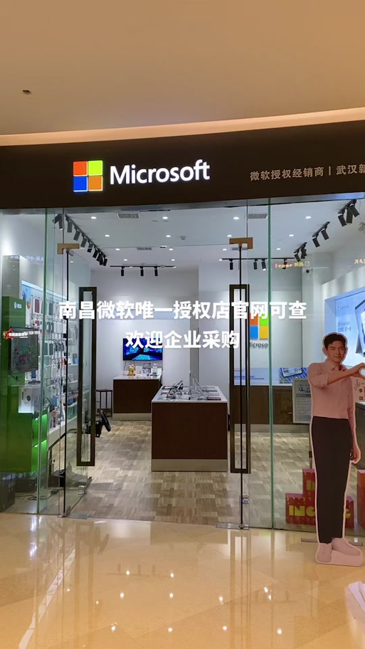 中国微软十大经销商截图