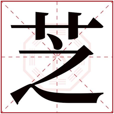 芝的最佳配字