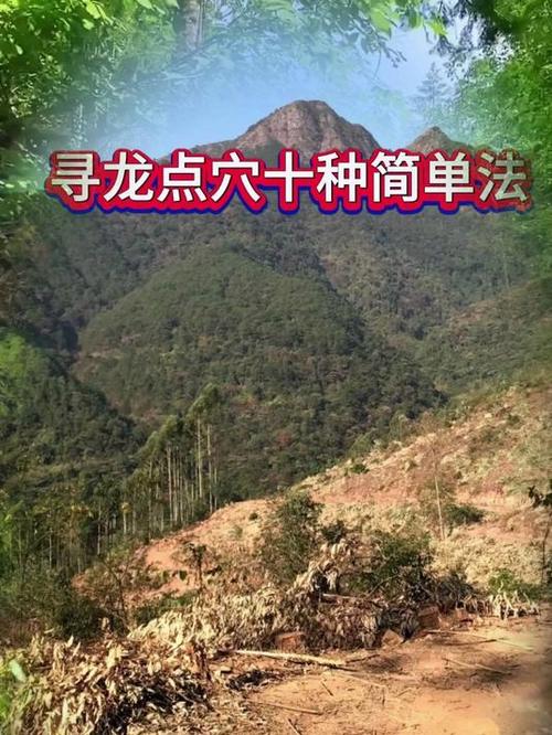 四种寻龙的方法图标