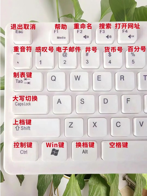 最小化当前窗口快捷键图标