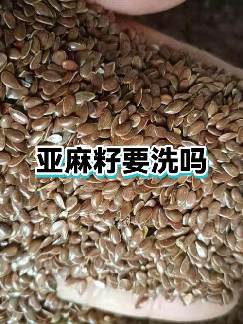 亚麻籽伤肾还是补肾图标