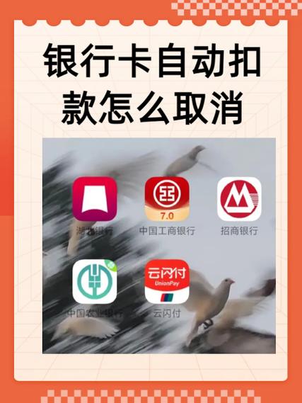 探探自动扣款能退款吗图标