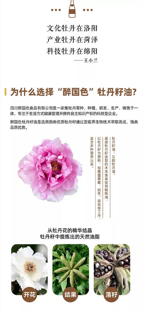 牡丹籽籽油多长时间过期图标