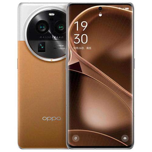 x6pro最致命的缺点图标