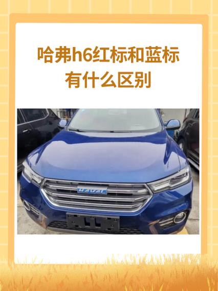 红标绿标蓝标什么意思图标