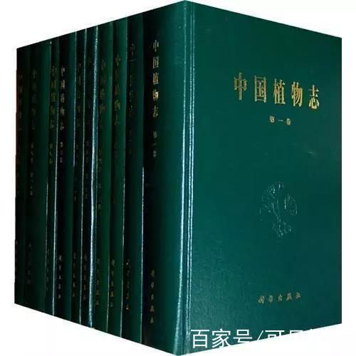 银杏阅读短文及答案