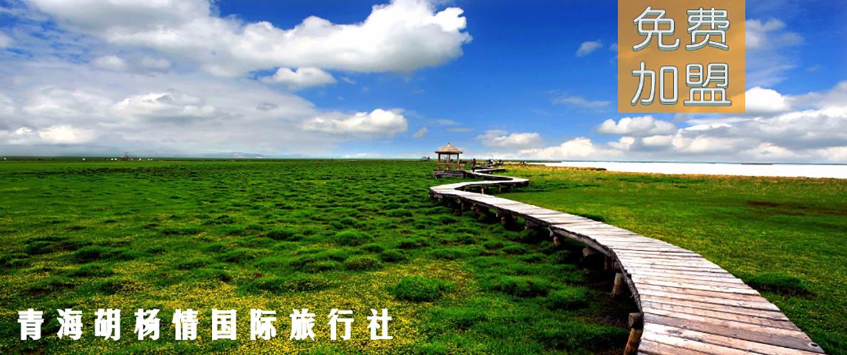 深圳市趣游玩旅行社有限公司图标
