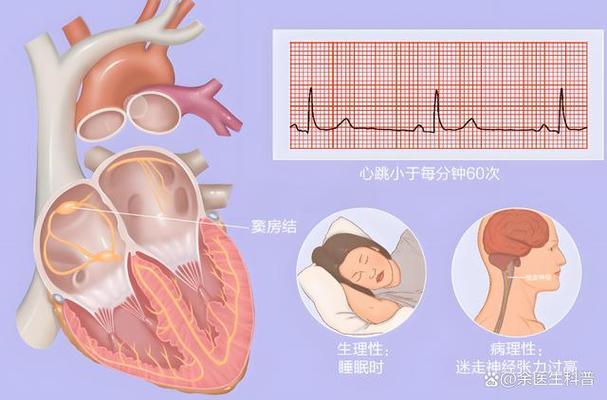 稳心胶囊怎么样图标