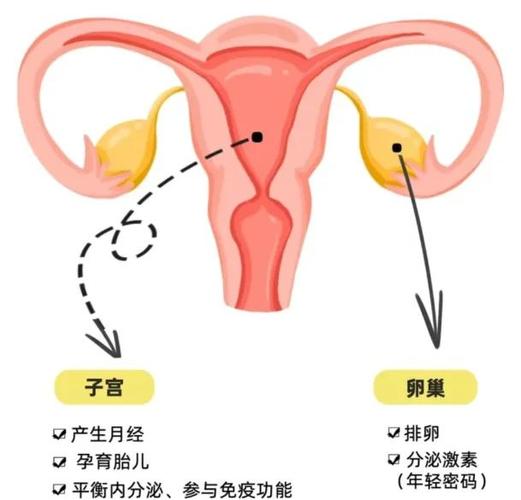 子宫增大怎么治疗图标
