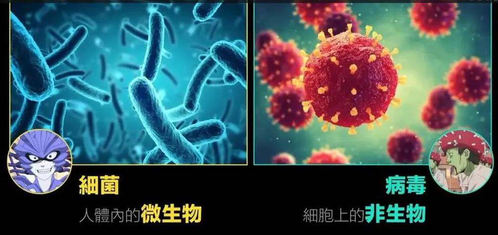 病毒和细菌哪个厉害图标