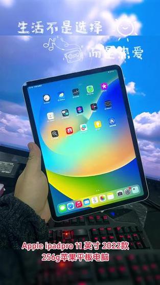 ipadpro2022版11寸图标