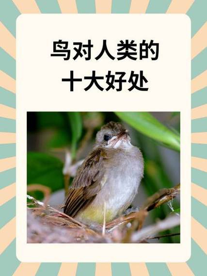 相信的十大好处图标