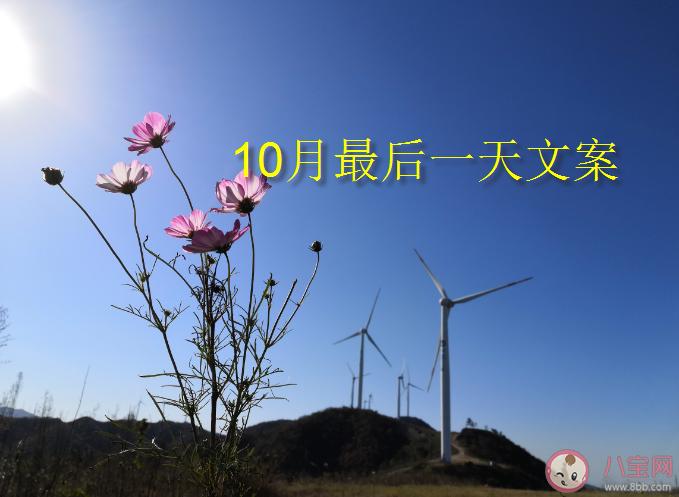月尾最后一天正能量图标