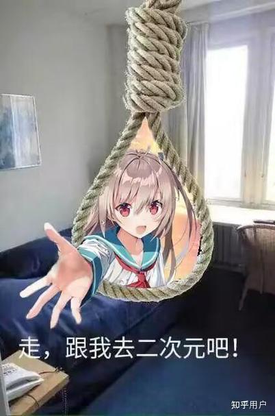 进入二次元唯一方法截图