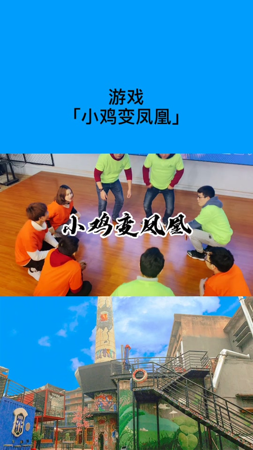 小鸡变凤凰游戏图标