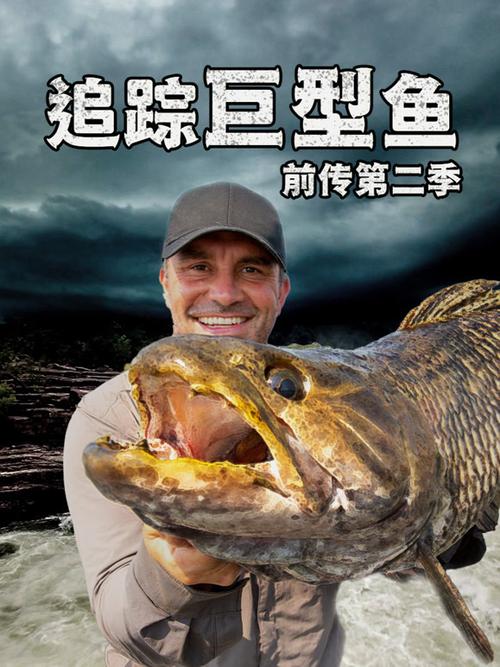 鱼在线观看完整版图标
