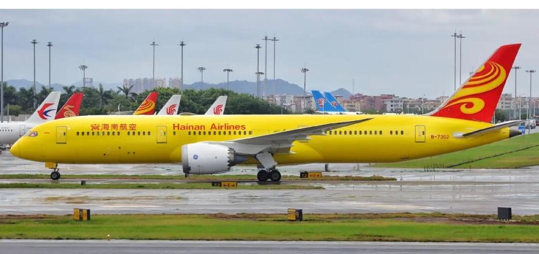 海南航空涂装图标