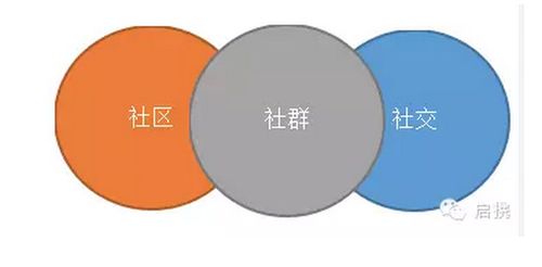 社群社区社交图标