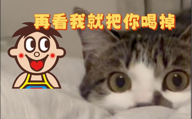 旺仔最火三句广告语图标
