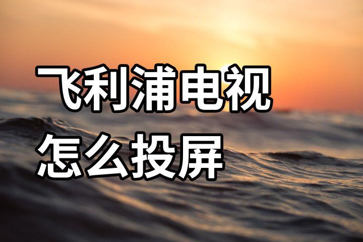 飞利浦电视与手机连接图标