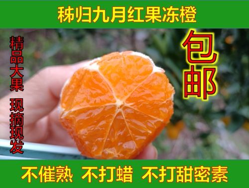 果冻橙甜么截图
