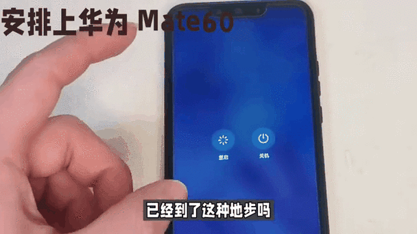 手机用了5年的人截图