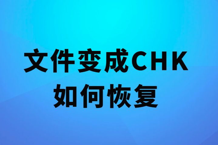 chk文件恢复专家专业版激活码截图