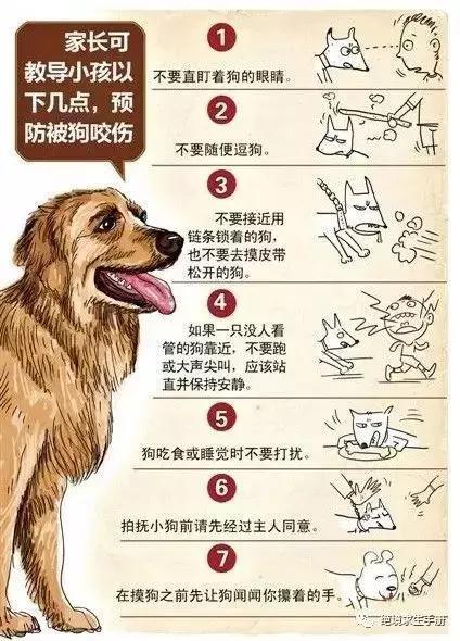 为什么春天狗会乱咬人图标