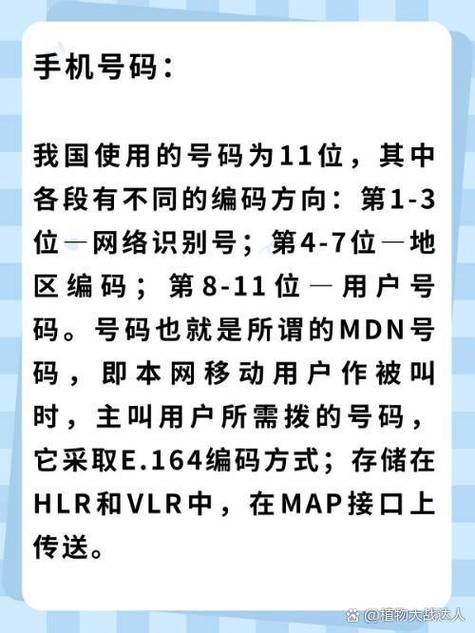 100个虚拟手机号大全截图