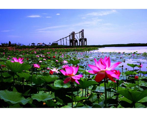银川鸣翠湖国家湿地公园图标