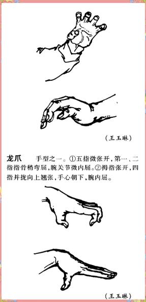 龙爪和虎爪的区别图标