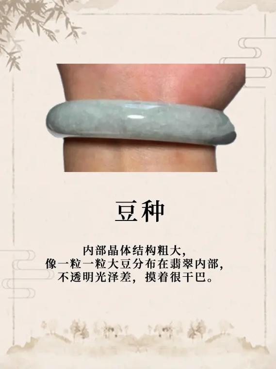 豆种最贵三个颜色图标