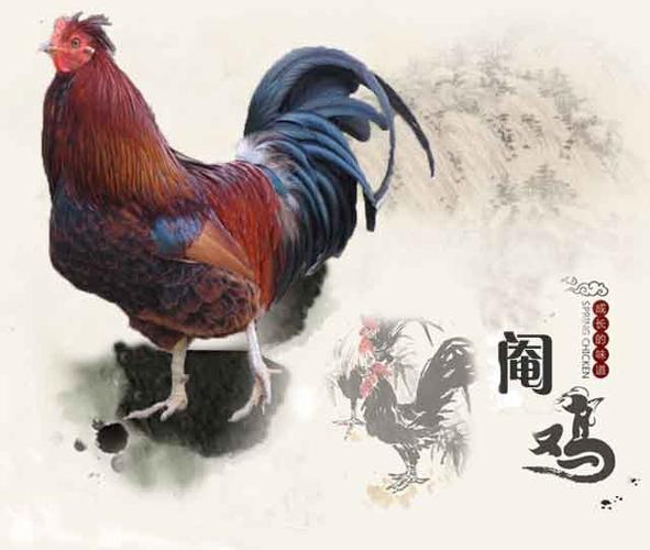 40个霸气鸡名图标