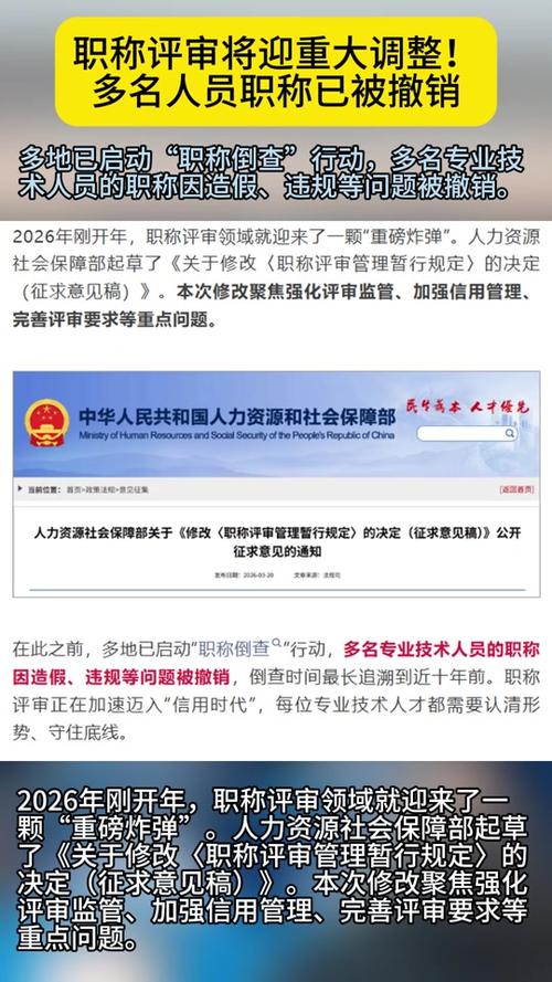 国家职称最新改革图标