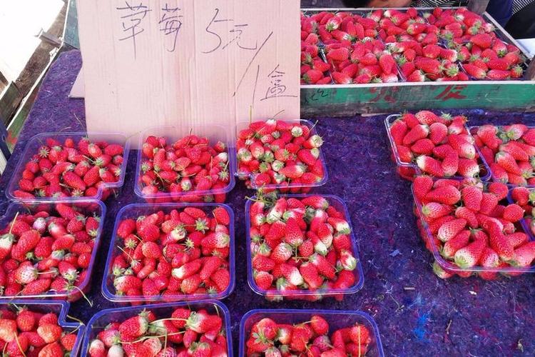 卖草莓的10个技巧图标