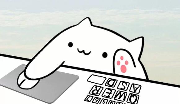 猫咪最新版破解apk图标