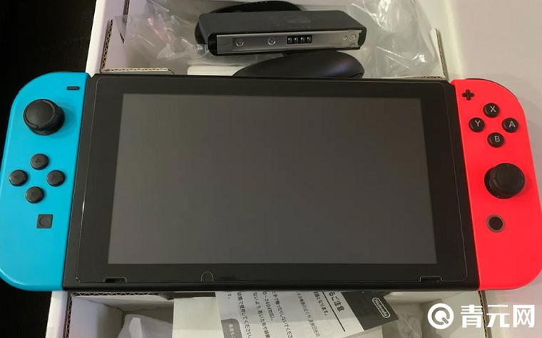 续航版和非续航版switch缩略图
