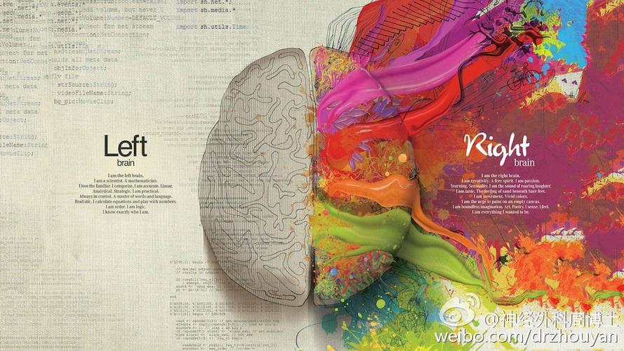 brain是啥牌子图标