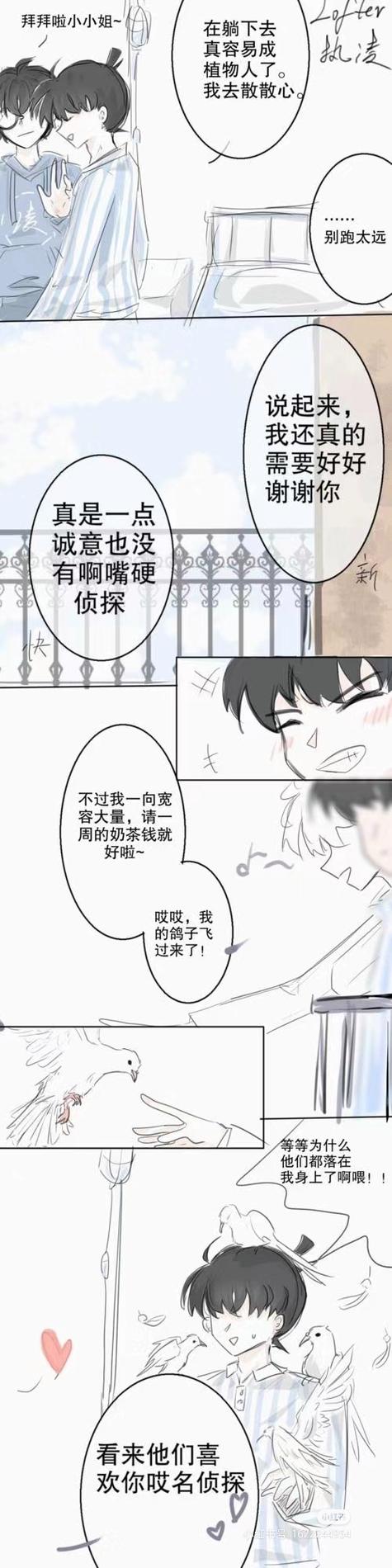 小说玉貂裘全文阅读图标
