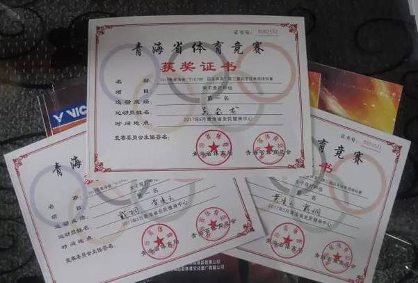 羽毛球初级教练员证图标