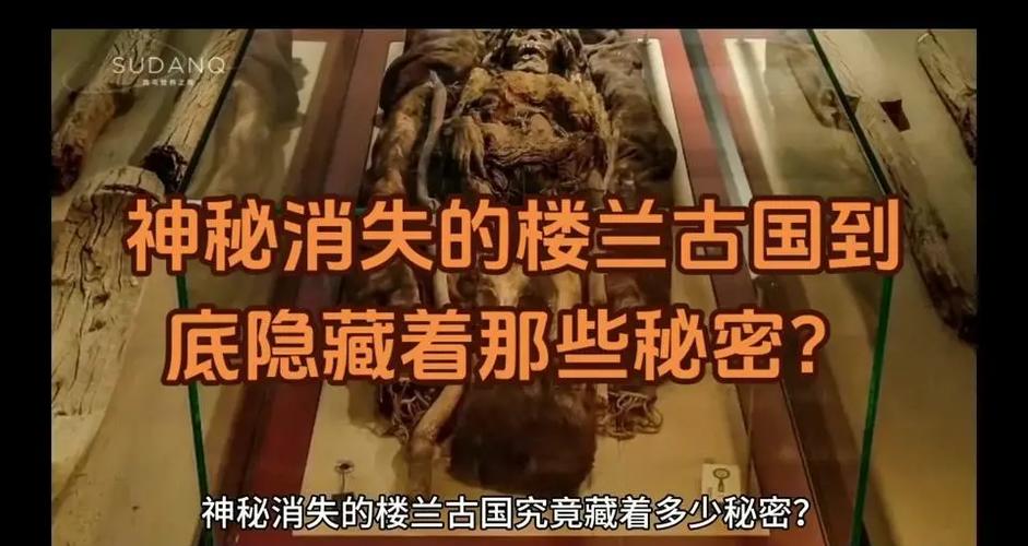 联系人图标消失是什么原因图标