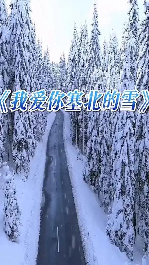 抖音冰雪歌曲图标
