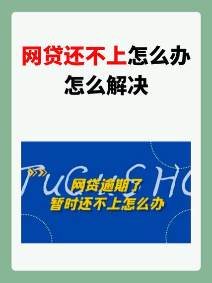 网贷还不上怎么办用什么办法解决截图