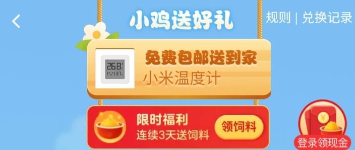 淘特小鸡码