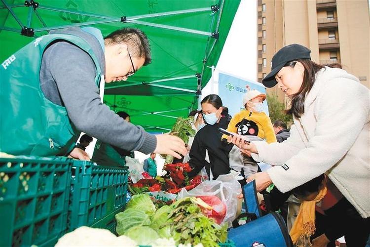 蔬菜社区直通车图标