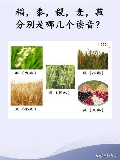 小米经常ji的一声截图