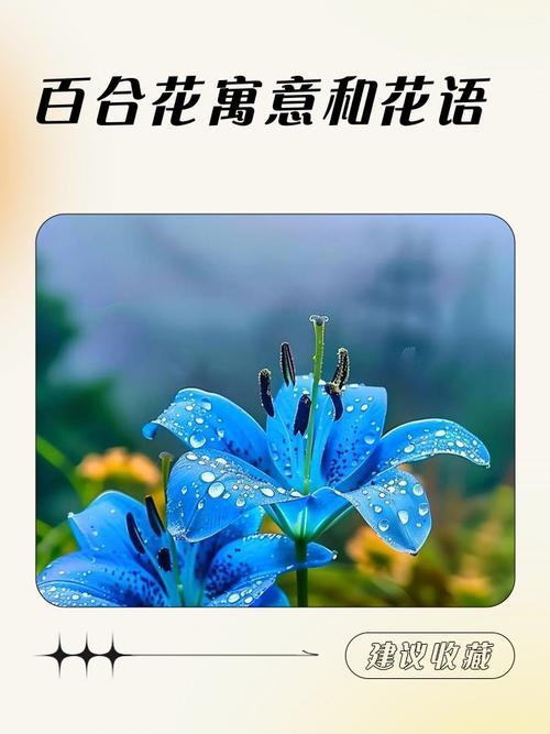 白百合的花语和寓意图标